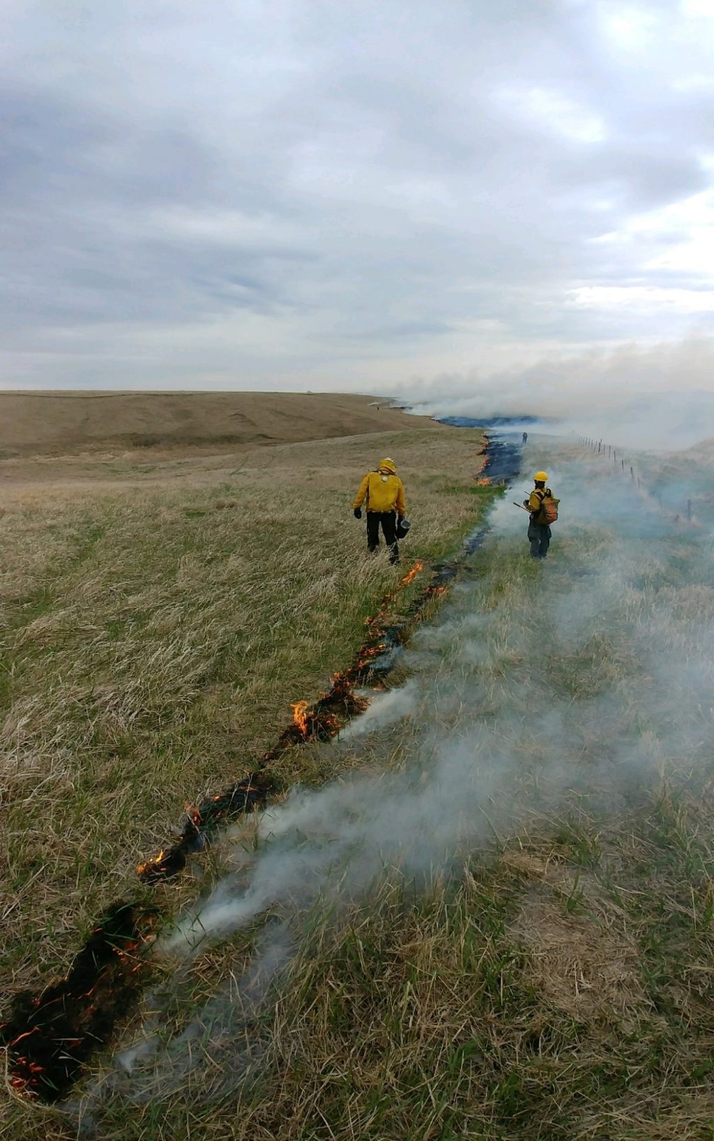 Hello, goodbye to burn season – Conservation Corps Minnesota & Iowa