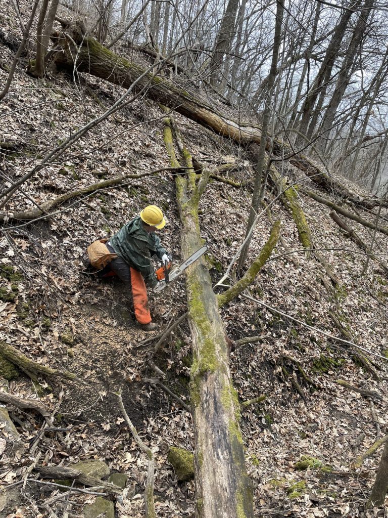 Preparing Fire Lines – Conservation Corps Minnesota & Iowa
