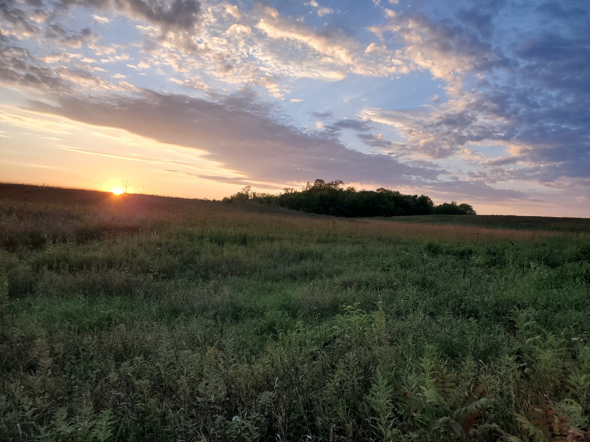 How I Connect with Nature – Conservation Corps Minnesota & Iowa