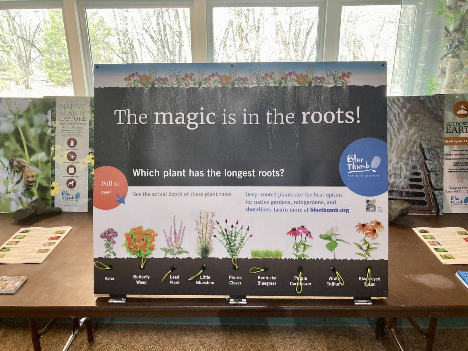 Earth Day at Wargo Nature Center – Conservation Corps Minnesota & Iowa