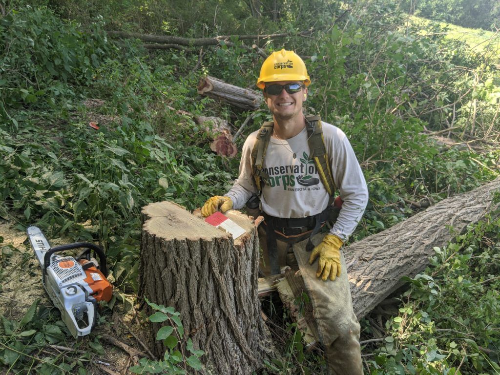 Why do we cut down trees? – Conservation Corps Minnesota & Iowa