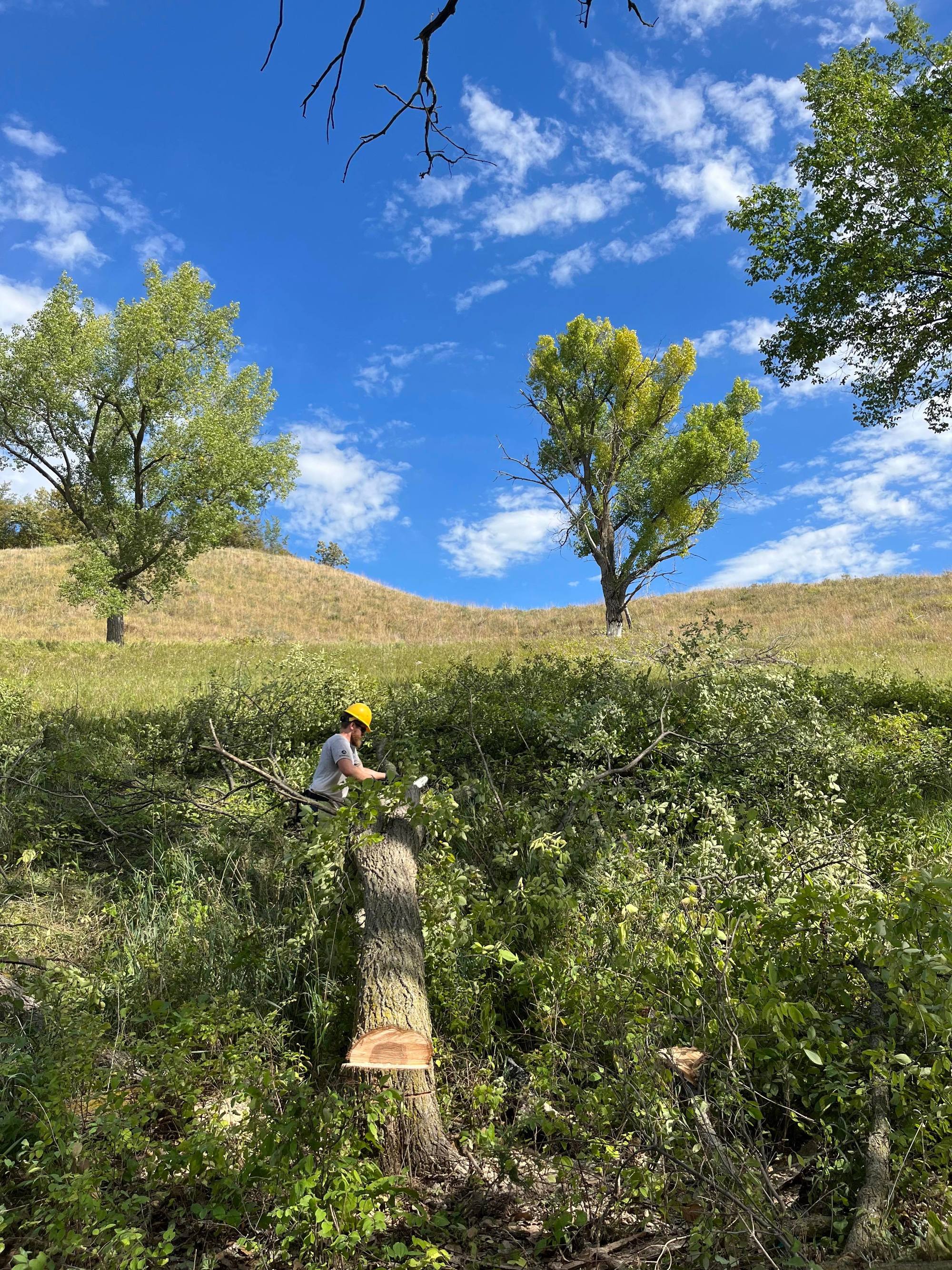 Top 5 Natural Areas to Explore in Iowa – Conservation Corps Minnesota ...