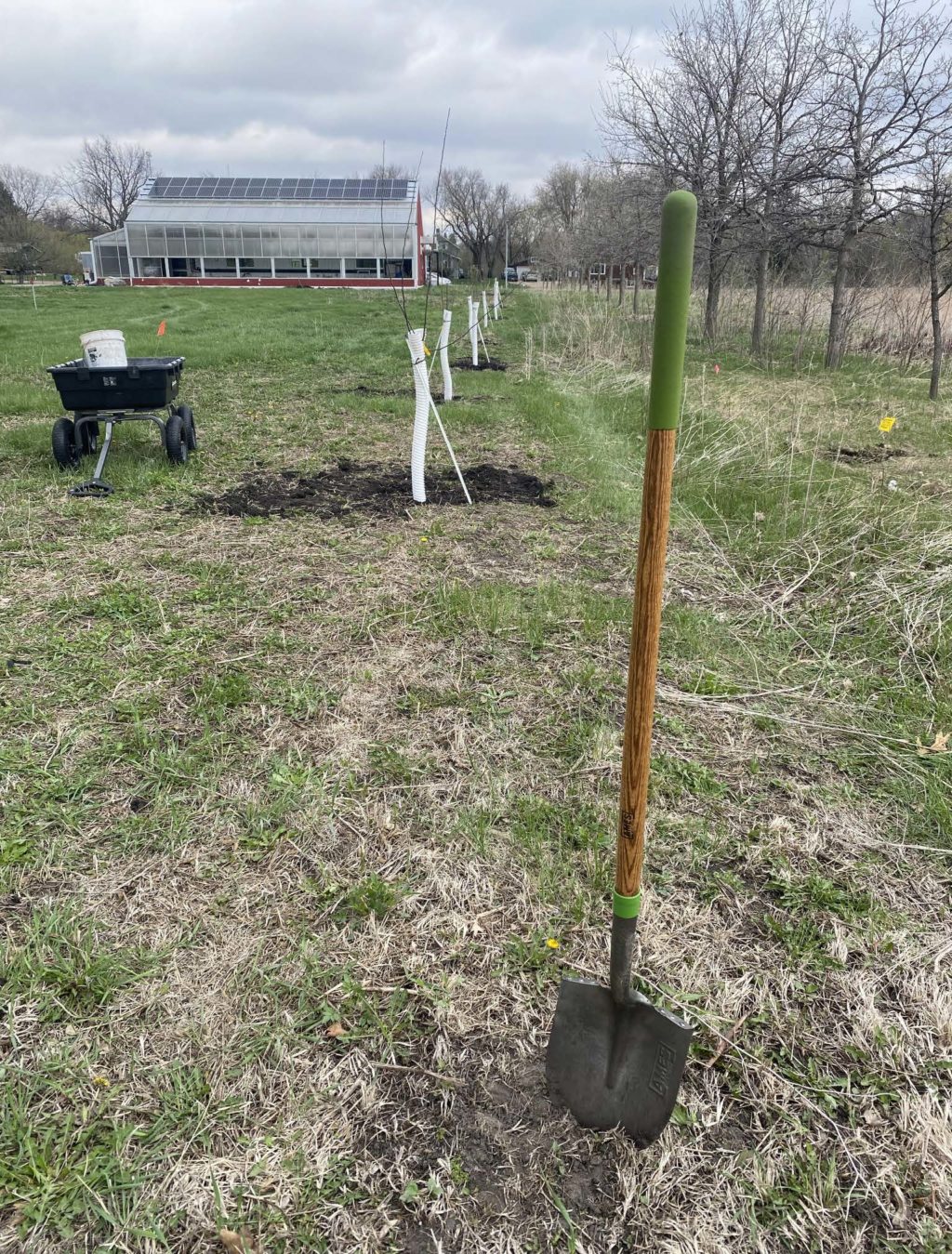 Behind the Scenes of Planting your Trees – Conservation Corps Minnesota ...