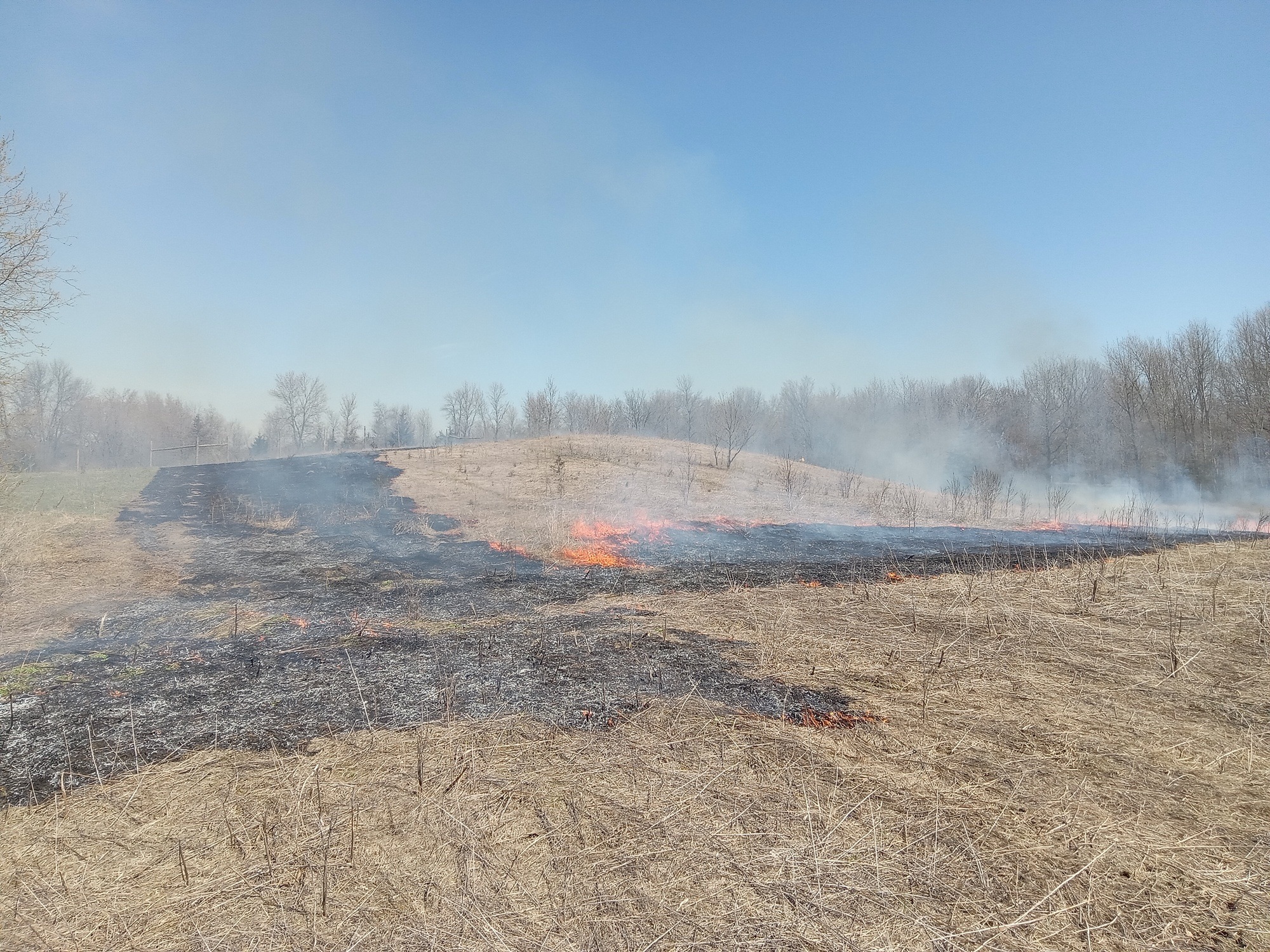 Prescribed Burning – Conservation Corps Minnesota & Iowa