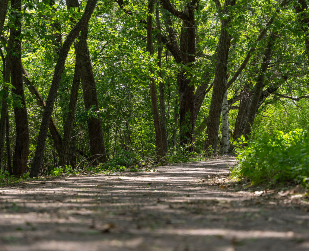 Trail Safety Tips: Enjoying Nature Responsibly – Conservation Corps ...