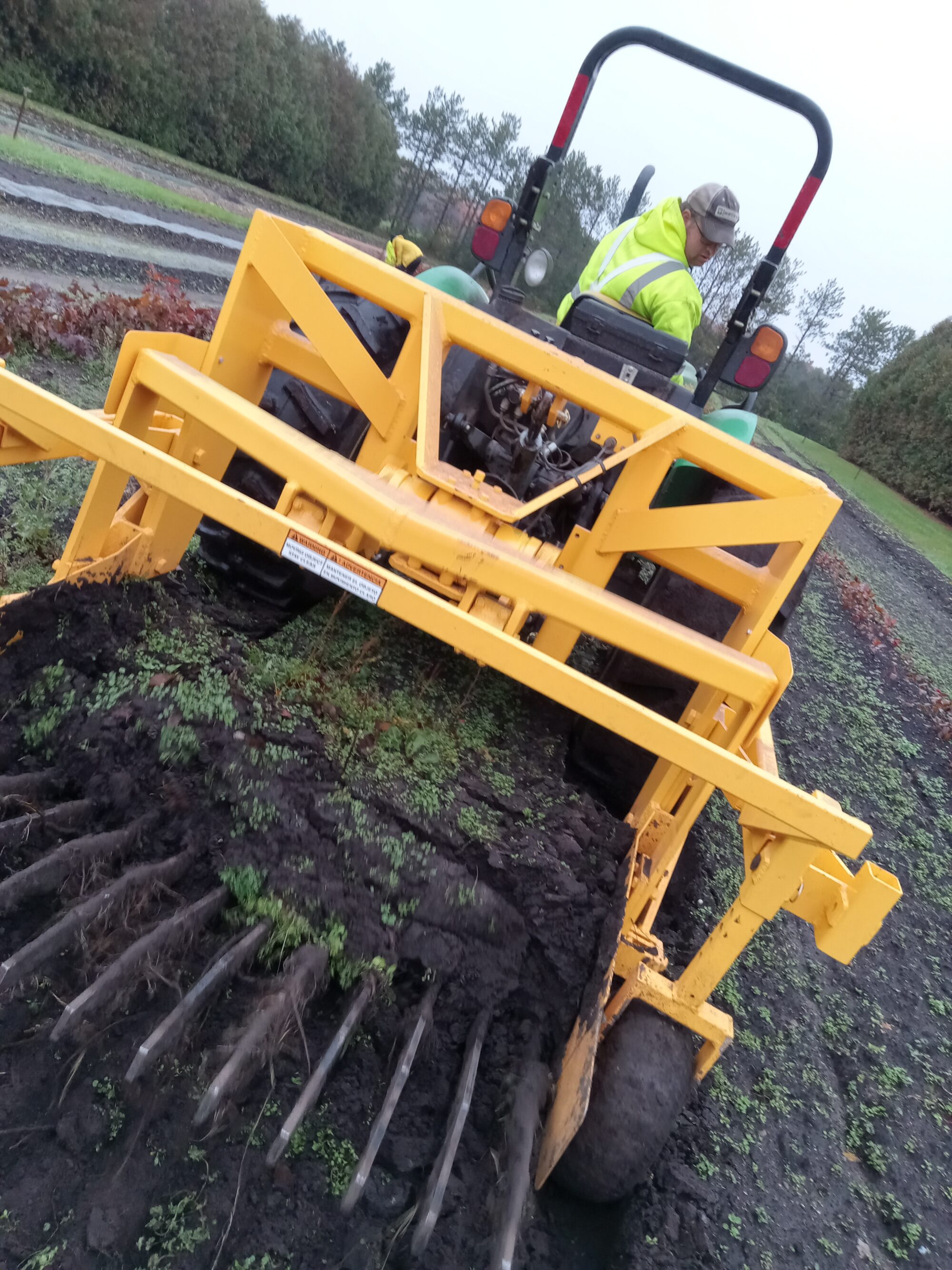 Fall Tree Harvest – Conservation Corps Minnesota & Iowa