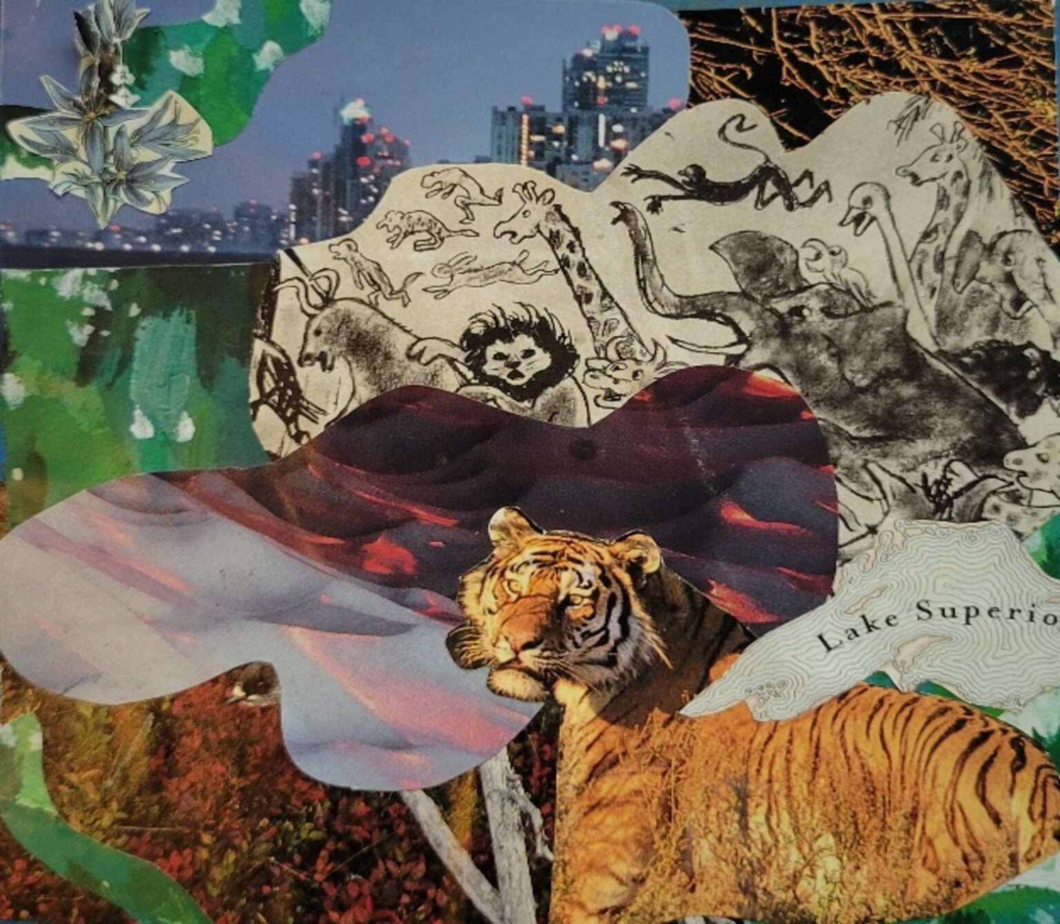 Individual Placement Spotlight Series: Hannah Pfeffer – Conservation ...